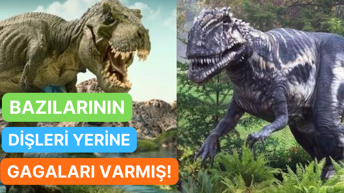 İnsanlık Tarihinin En Gizemli Hayvanları Olan Dinozorlar Hakkında ...