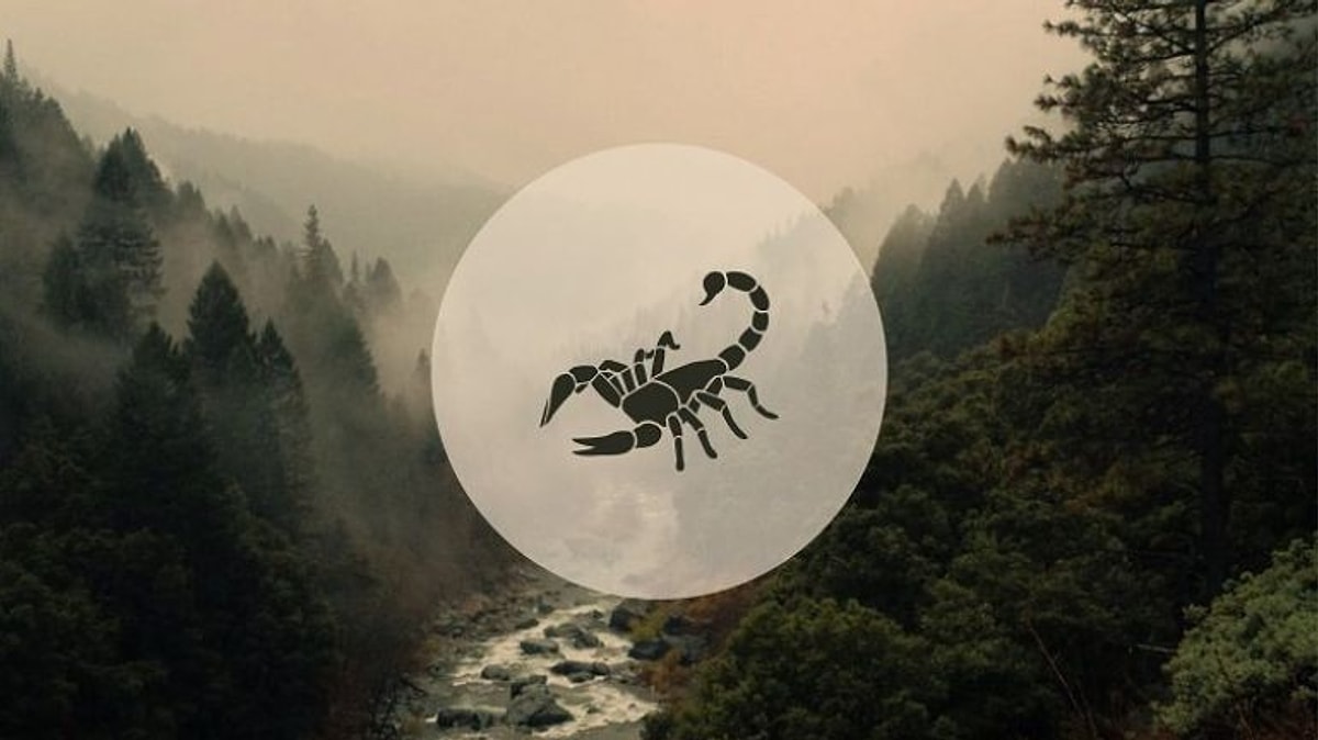 Venüs ve Güneş Akrep Burcunda! - Onedio