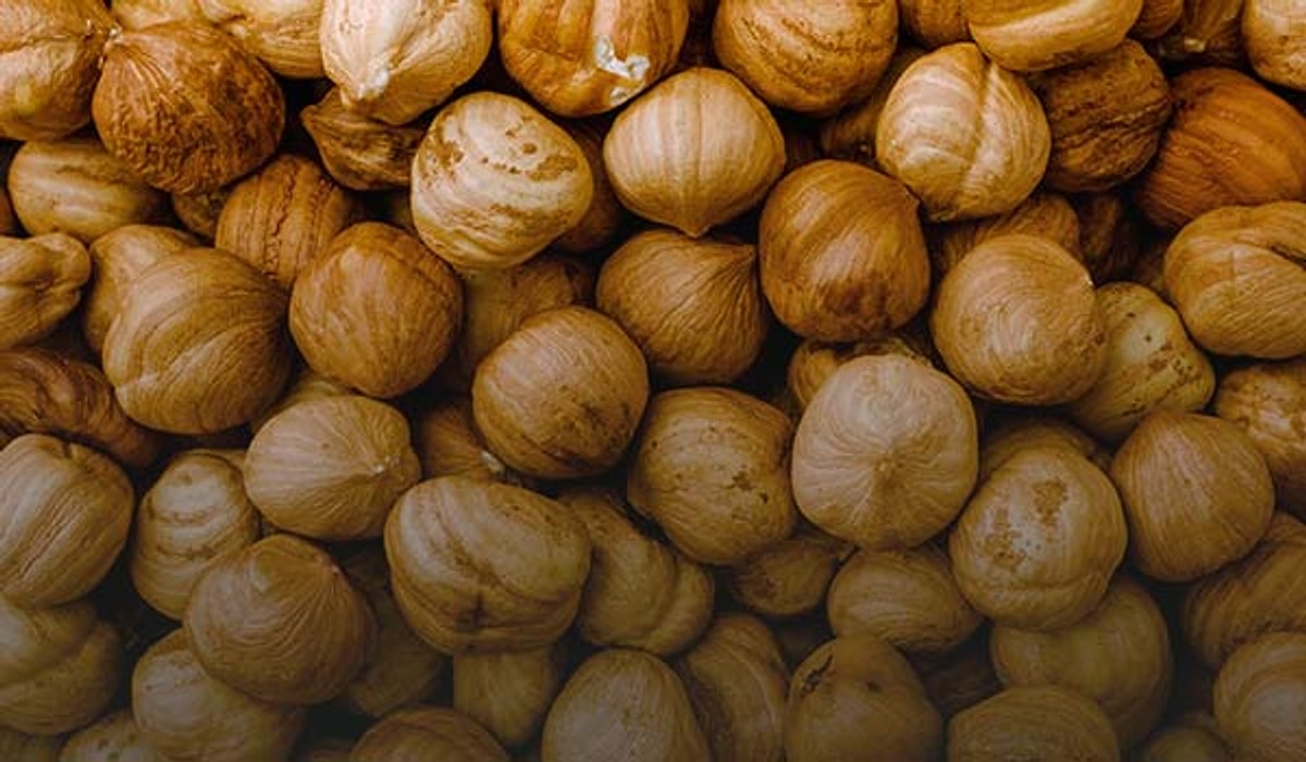 Destanlarda Kutsal Sayılan Fındığın Tarihi - Onedio