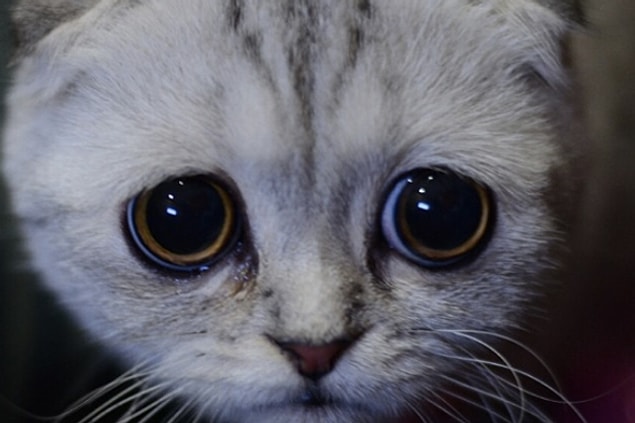 Derin Anlamlı Kelimeler: Duyduğunuzda Bambaşka Duygular Hissettirecek ...