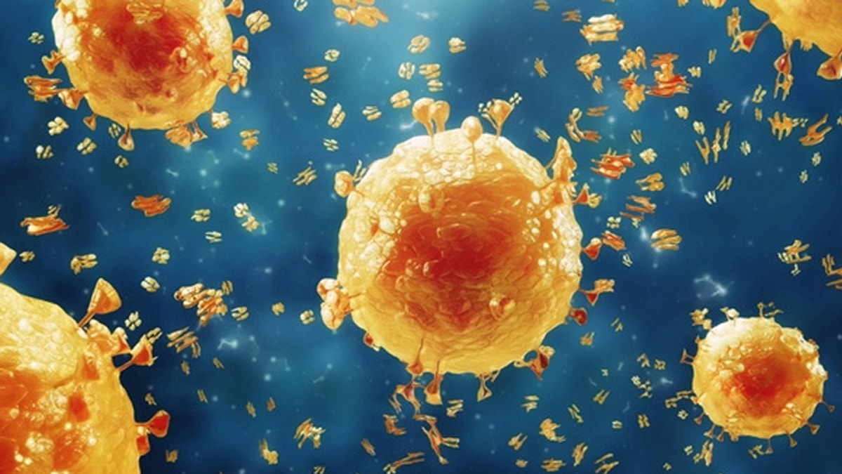 Domuz Gribi Nedir, Belirtileri Nelerdir? - Onedio