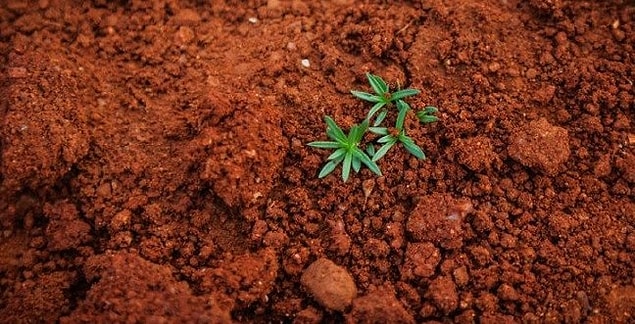 Rüyada Toprak Görmek: Evinizde Huzur, Bereket ve Güven Eksik Olmayacak!