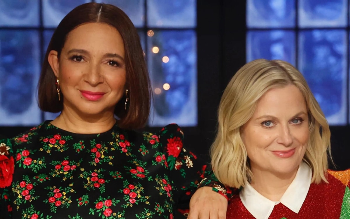 Amy Poehler Replaces Andy Samberg in ‘Baking It’ Season Two - Onedio