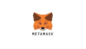 Kripto Para Cüzdanı MetaMask Nedir? - Onedio