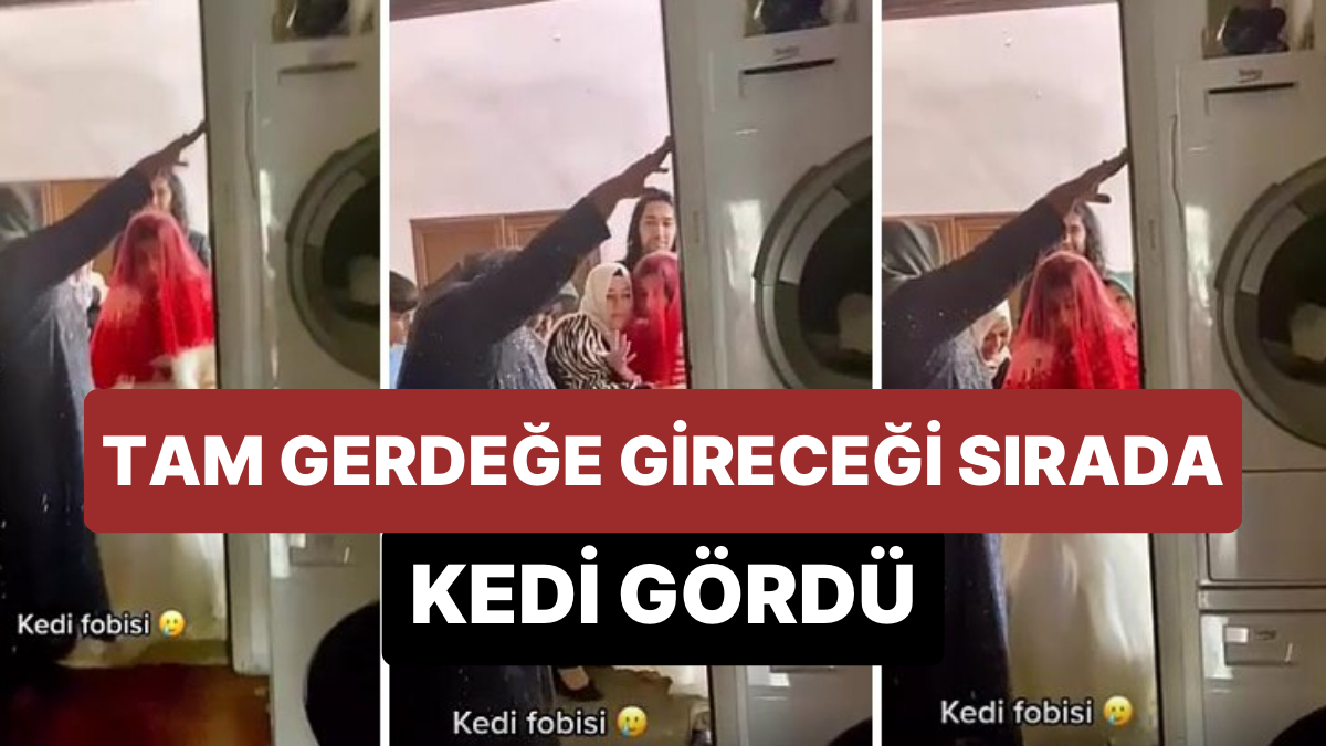 Düğün Sonrası Gerdeğe Gireceği Evde Kedi Gören Gelin Korkudan Eve ...