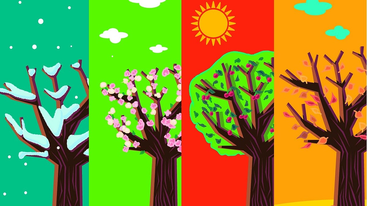 Hangi Hayvansın? - Onedio