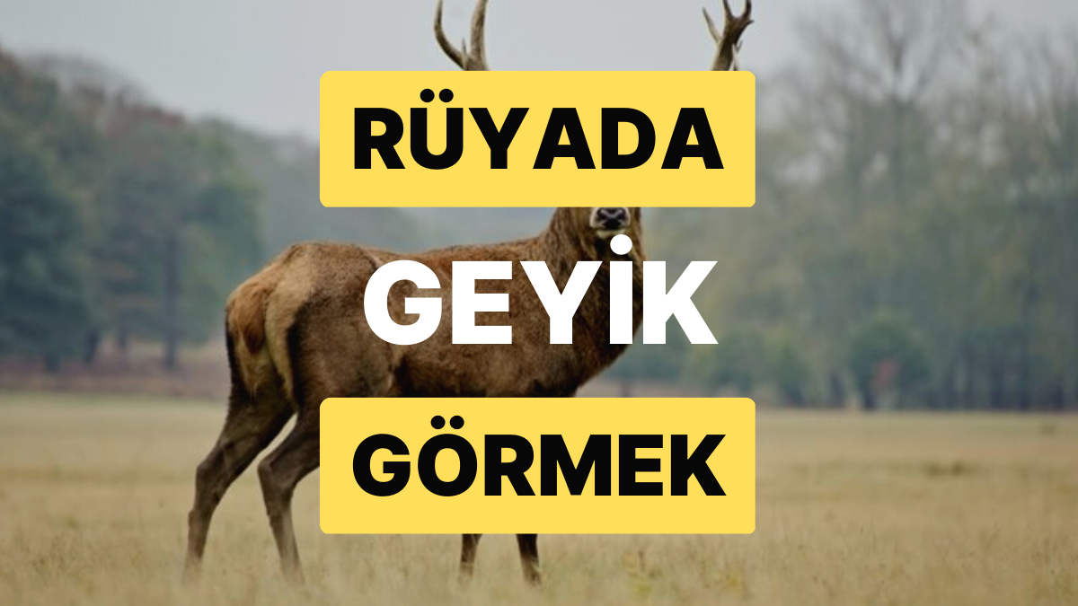 Rüyada Geyik Görmek: Büyük İşlere mi İmza Attınız? - Onedio