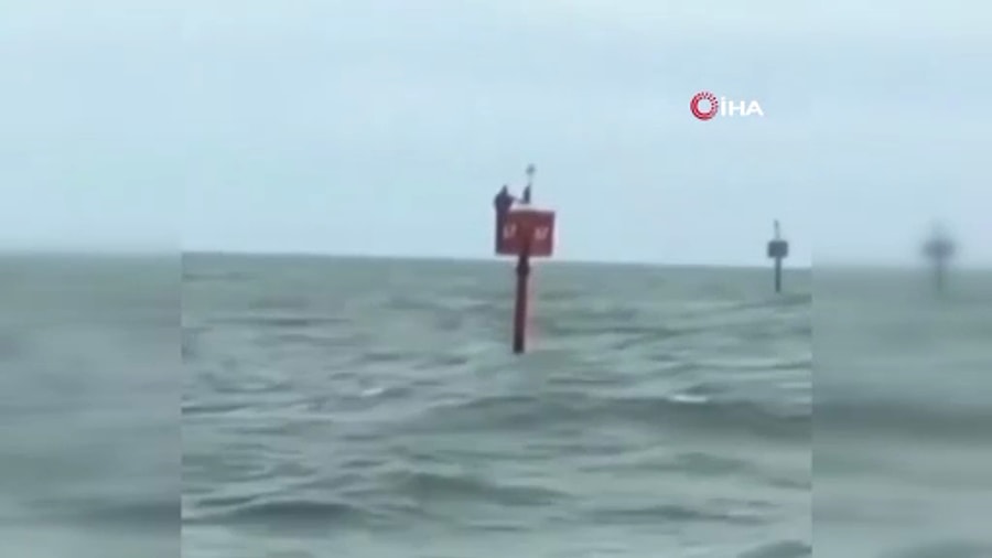 Okyanusta Tek Başına! 2 Gün Şamandıraya Tutunarak Hayatta Kaldı - Onedio
