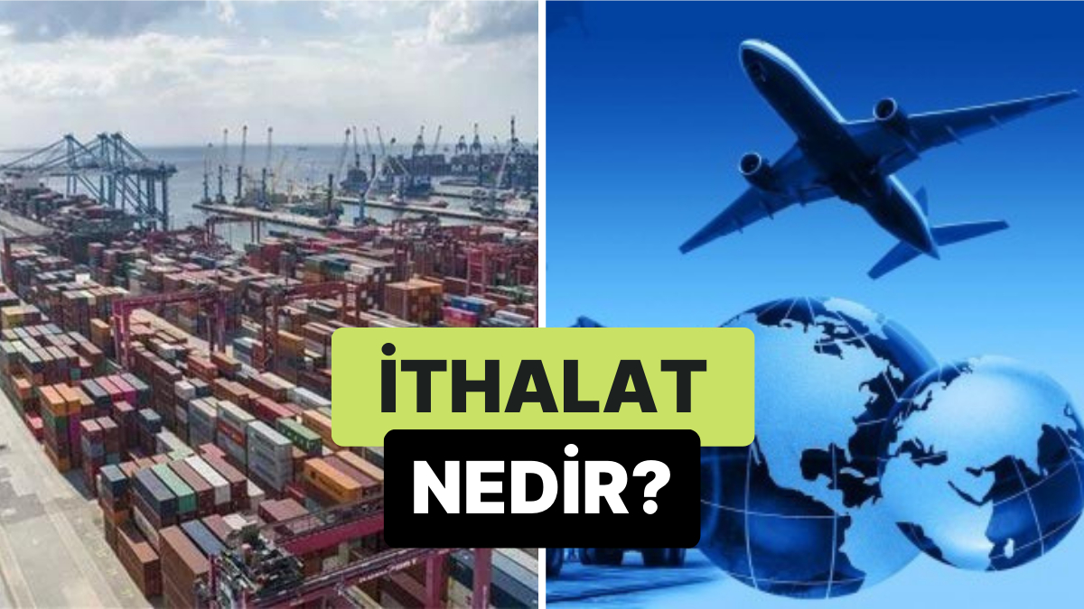 Uluslararası Ticaretin Bileşenlerinden Biri: İthalat Nedir? - Onedio