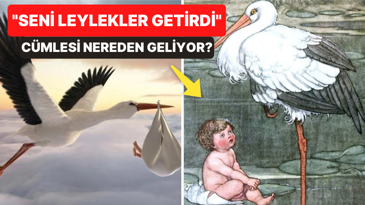En Büyük Efsanelerden :"Seni Leylekler Getirdi" - Onedio