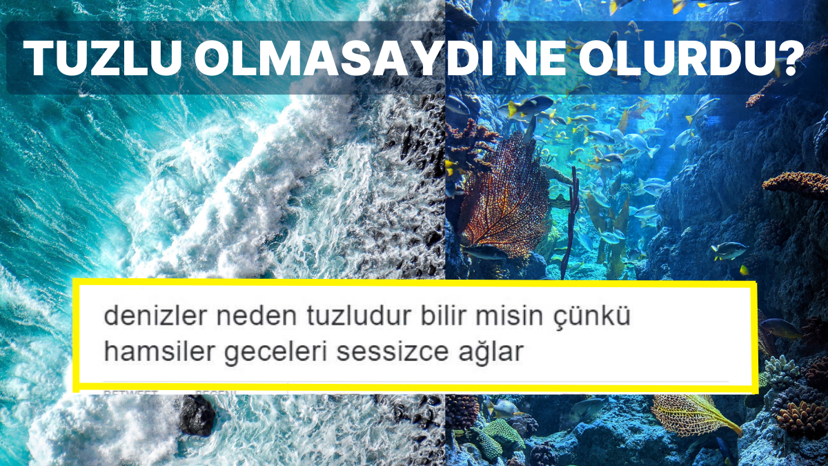 Okyanus ve Deniz Suyu Neden Tuzludur? - Onedio