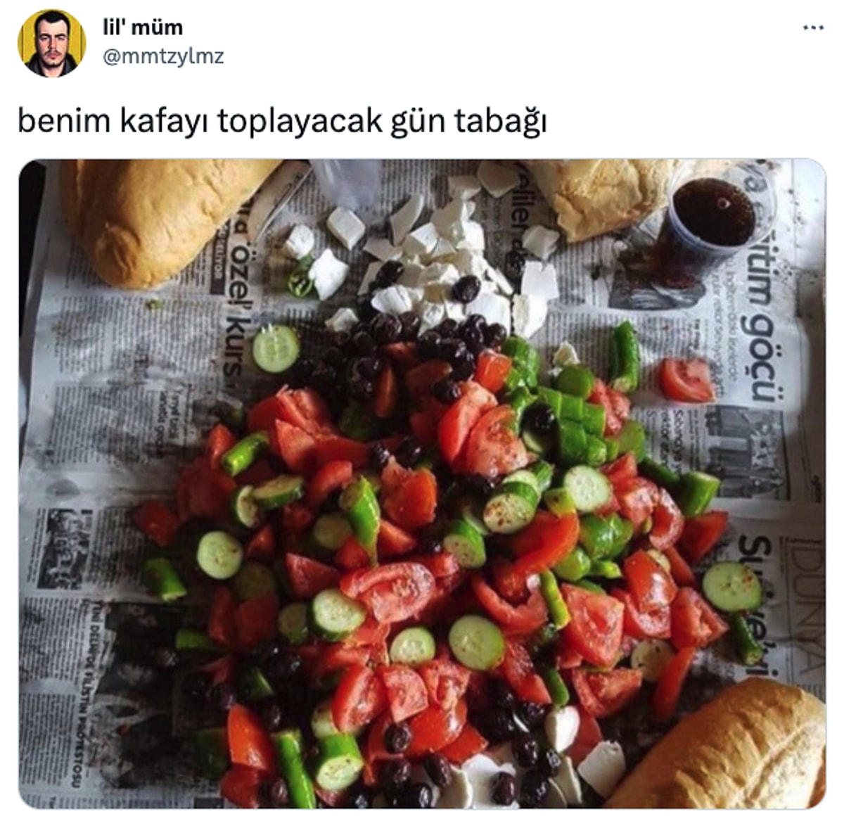 Gün Tabağı Paylaşma Akımıyla Dalga Geçip Yemekleri Mizahına Alet Eden ...