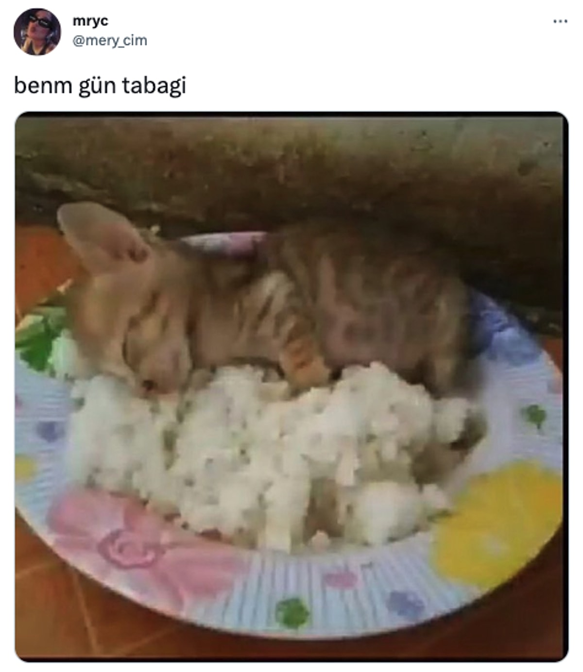 Gün Tabağı Paylaşma Akımıyla Dalga Geçip Yemekleri Mizahına Alet Eden ...
