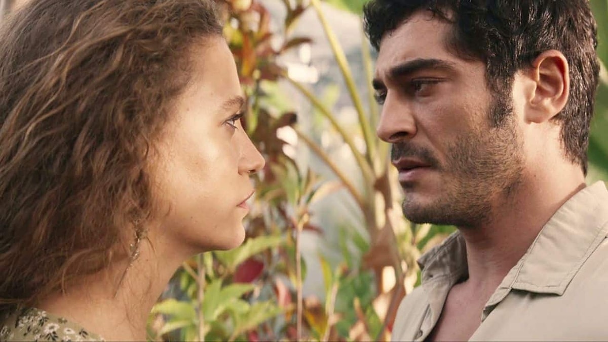 Shahmaran Netflix: Cast, Trailer, Plot, and Everything About The ...