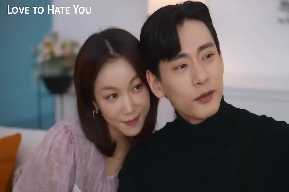 Everything You Need to Know About Netflix’s ‘Love to Hate You’ Season ...
