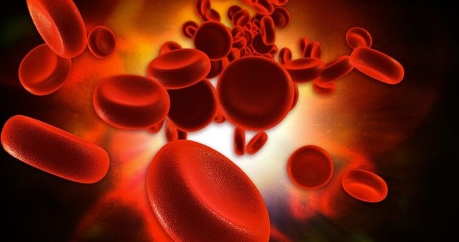 Akdeniz Anemisi Hastalığı: Talasemi Nedir? - Onedio