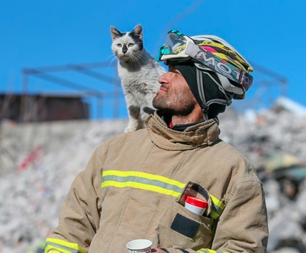 Gördüğünüz Anda Sizi Pamuk Gibi Yapacak 15 Görsel - Onedio