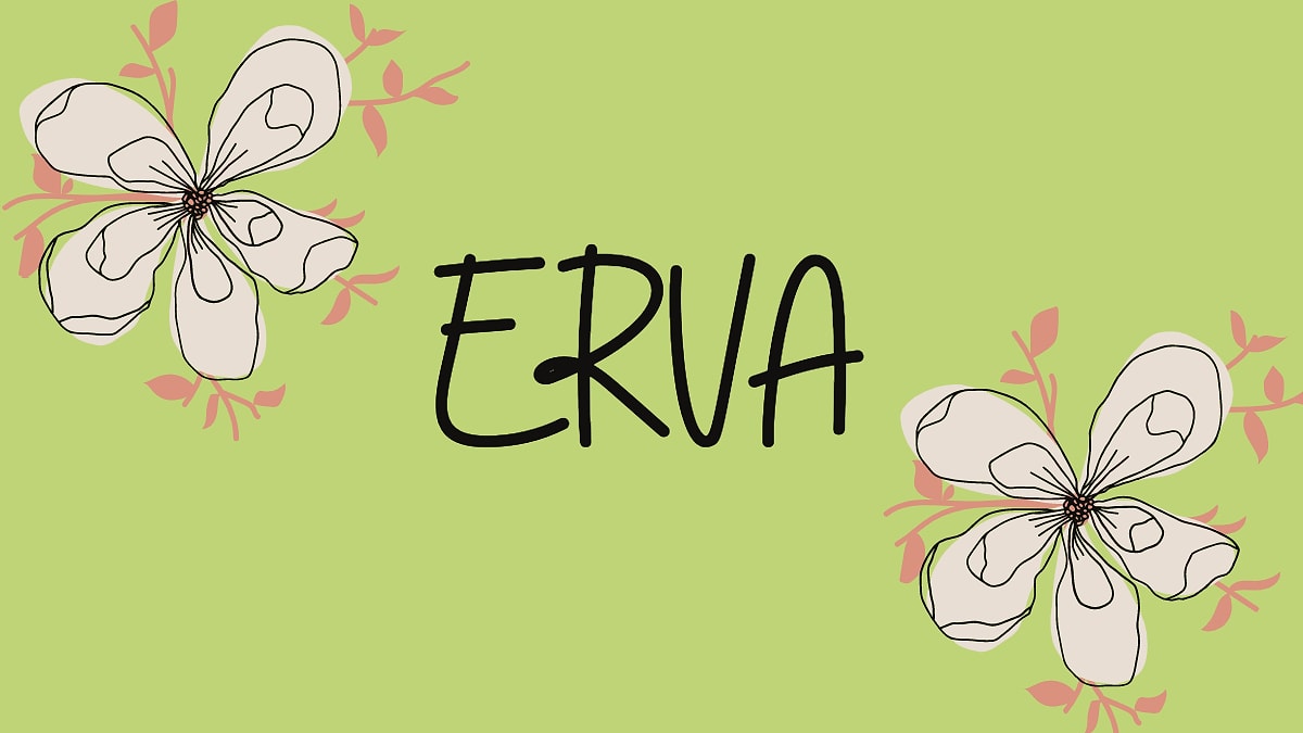 Erva İsminin Anlamı Nedir, Kökeni Nedir? - Onedio