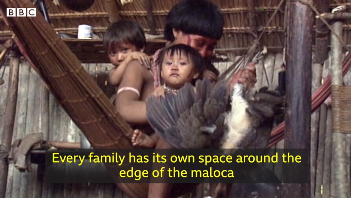 Medeniyetten Uzak Yaşayan Yanomami Halkının Hayatı - Onedio