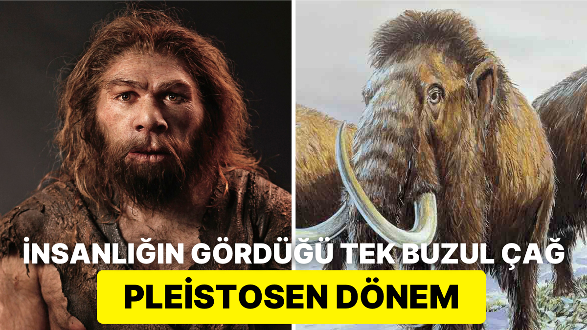 Pleistosen Dönemi: İnsanın İklime Karşı Mücadelesi - Onedio