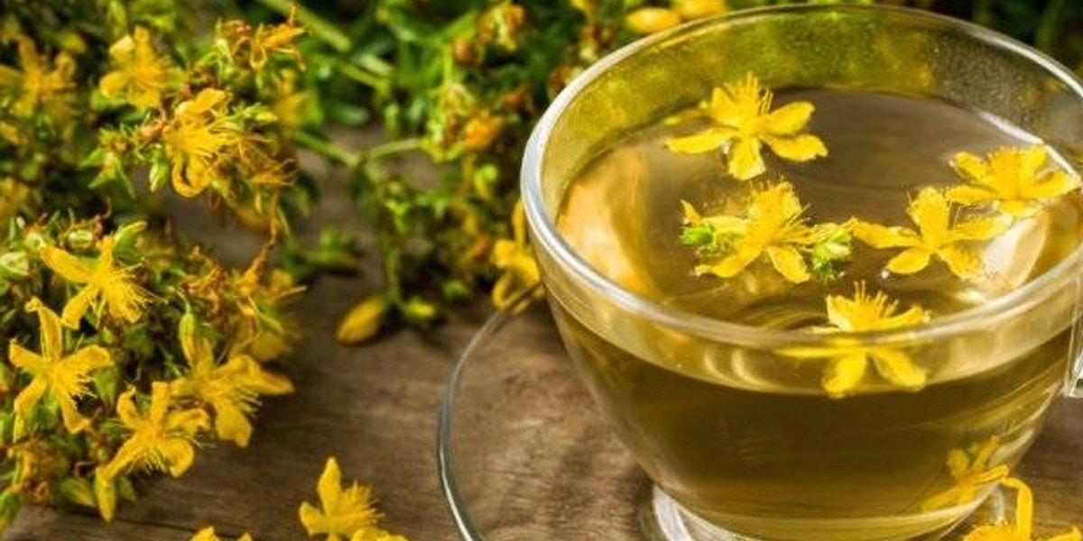 Kırlangıç otu nedir, faydaları nelerdir? - Onedio