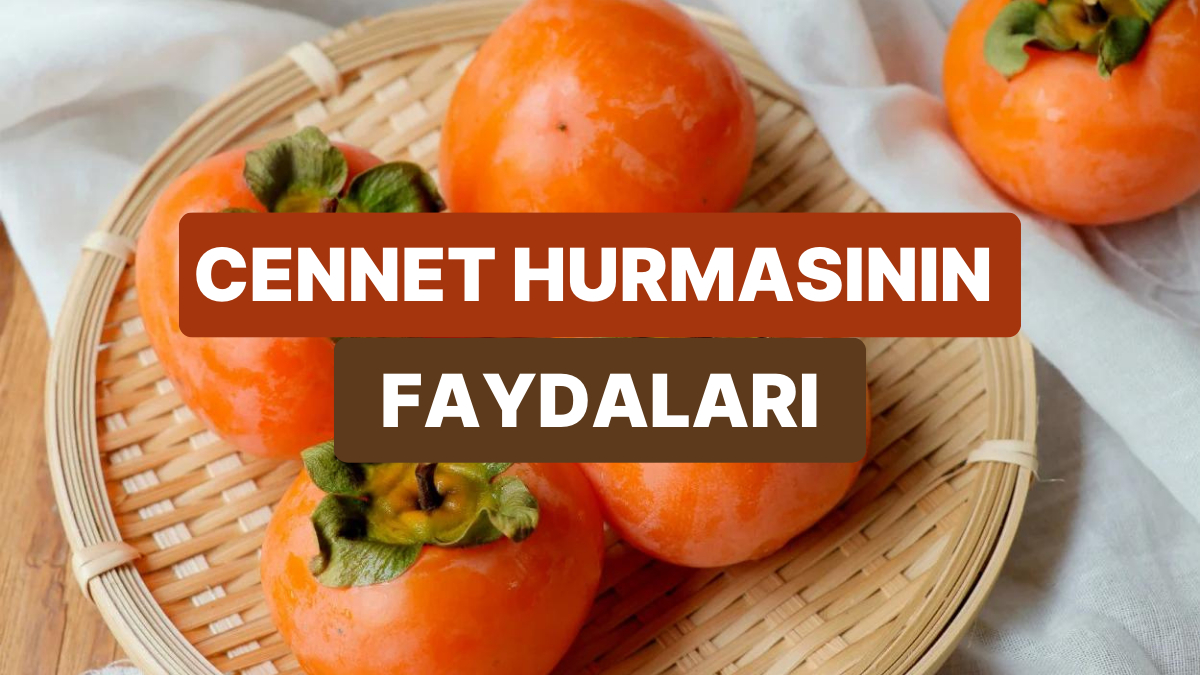 Cennet Hurmasının Kurusu Nasıl Yenir? - Onedio