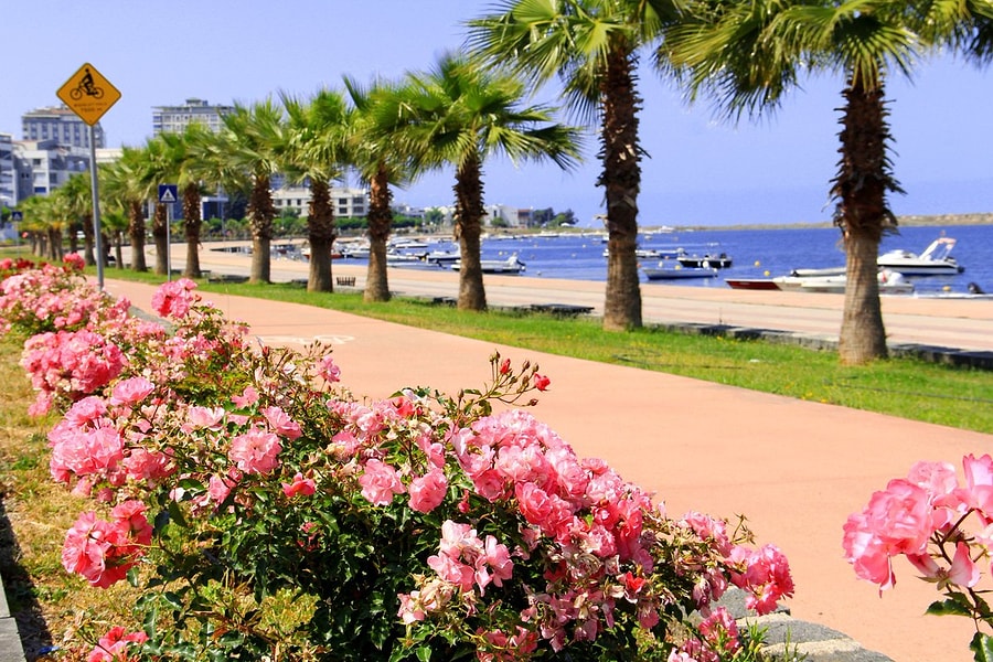 Samsun: A Coastal Adventure Through the Gateway to the Black Sea - Onedio