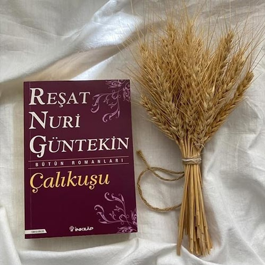 Çalıkuşu Romanı Kahramanları ve Özellikleri Nedir? - Onedio