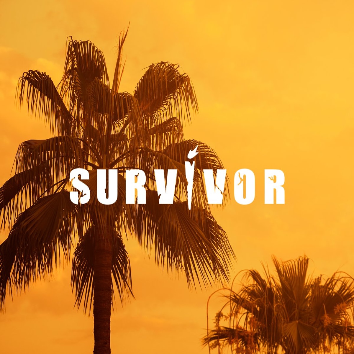 Survivor'da İlk İki Yarı Finalist Belli Oldu! - Onedio