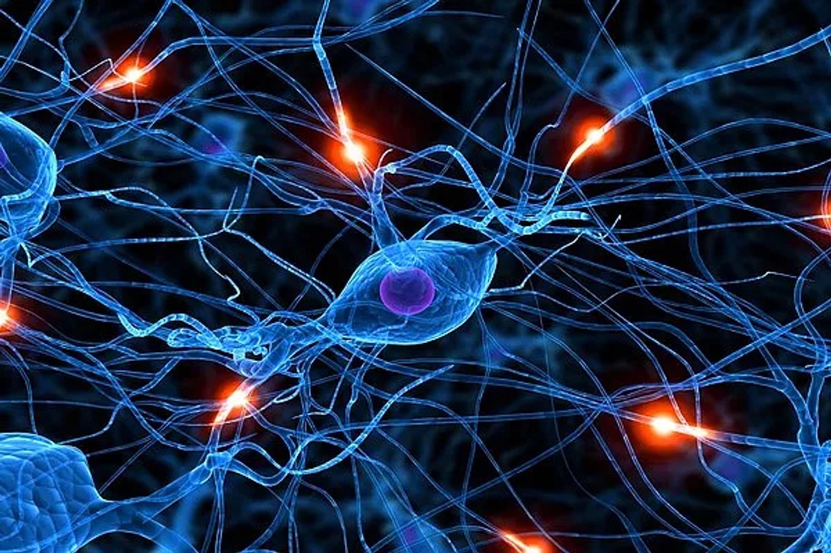 Glutatyon Nedir ve Hangi Özelliklere Sahiptir? - Onedio