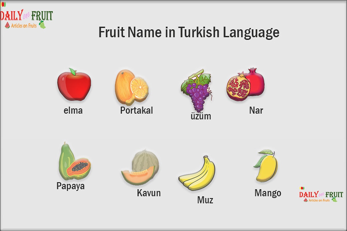 Turkish Language 101: Essential Words and Phrases for Beginners - Onedio