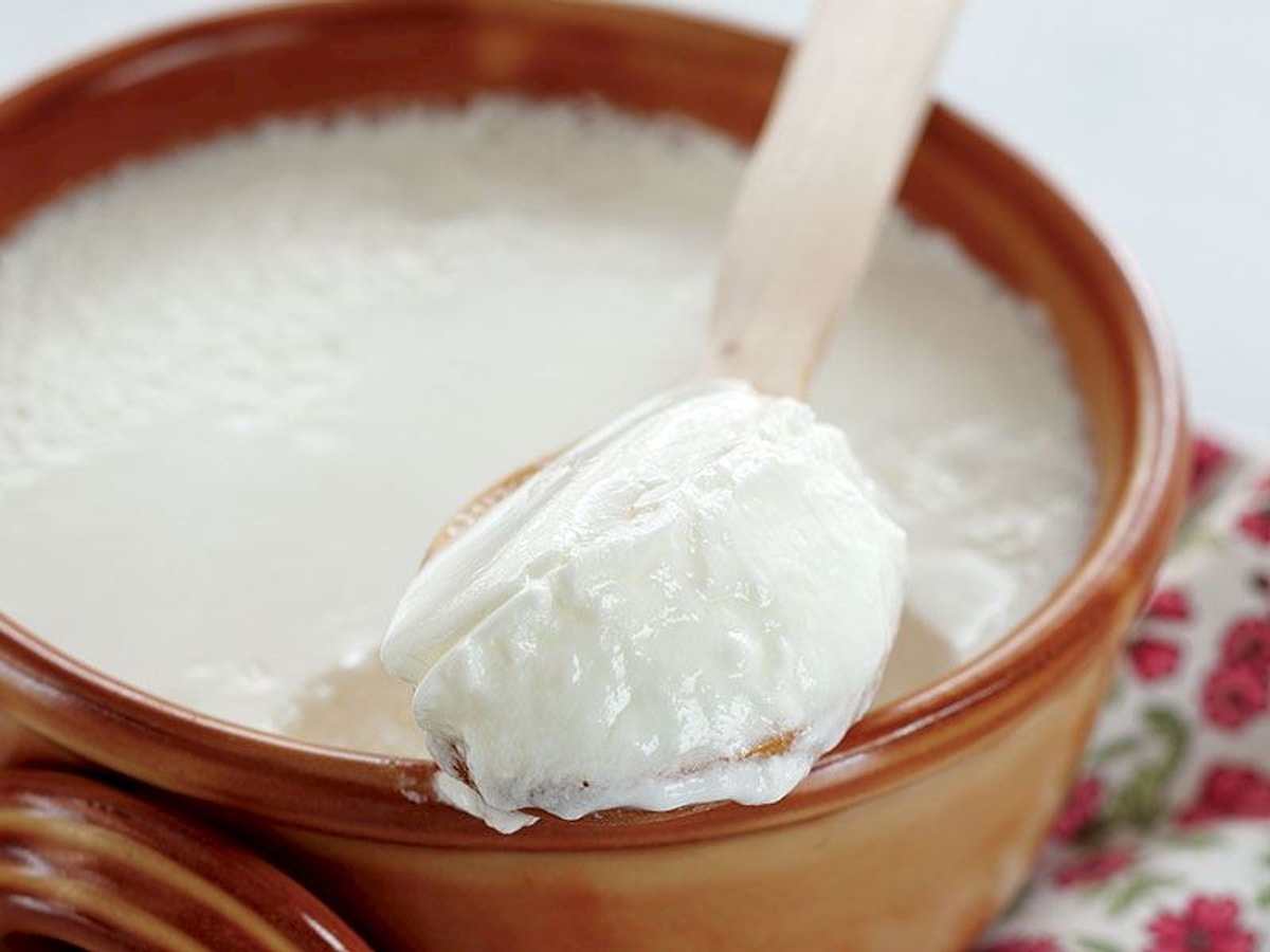 The Rich Tradition and Health Benefits of Turkish Yoghurt - Onedio
