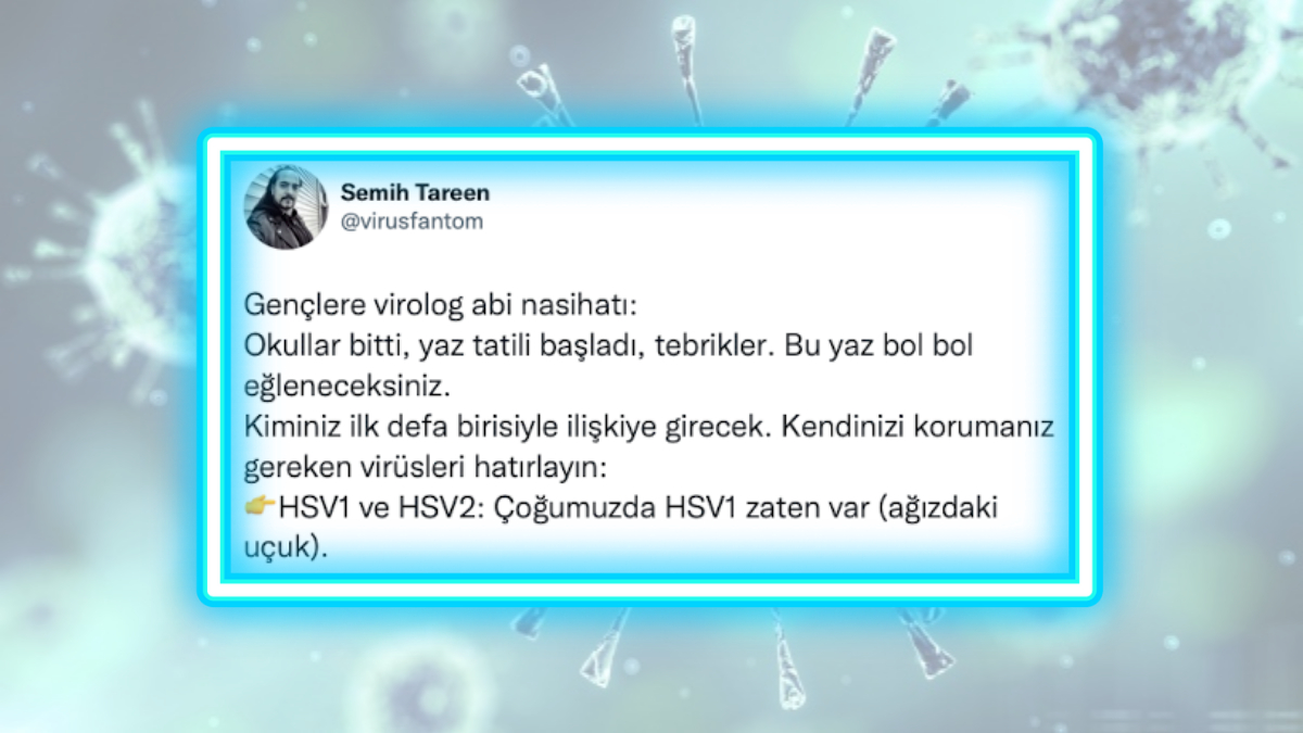 Virolog'tan Gençlere Nasihat! Cinsel Temasla Bulaşan Virüslere Karşı ...