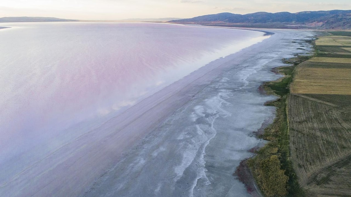 Salt Lake's Stunning Color Transformation: A Delight for Visitors