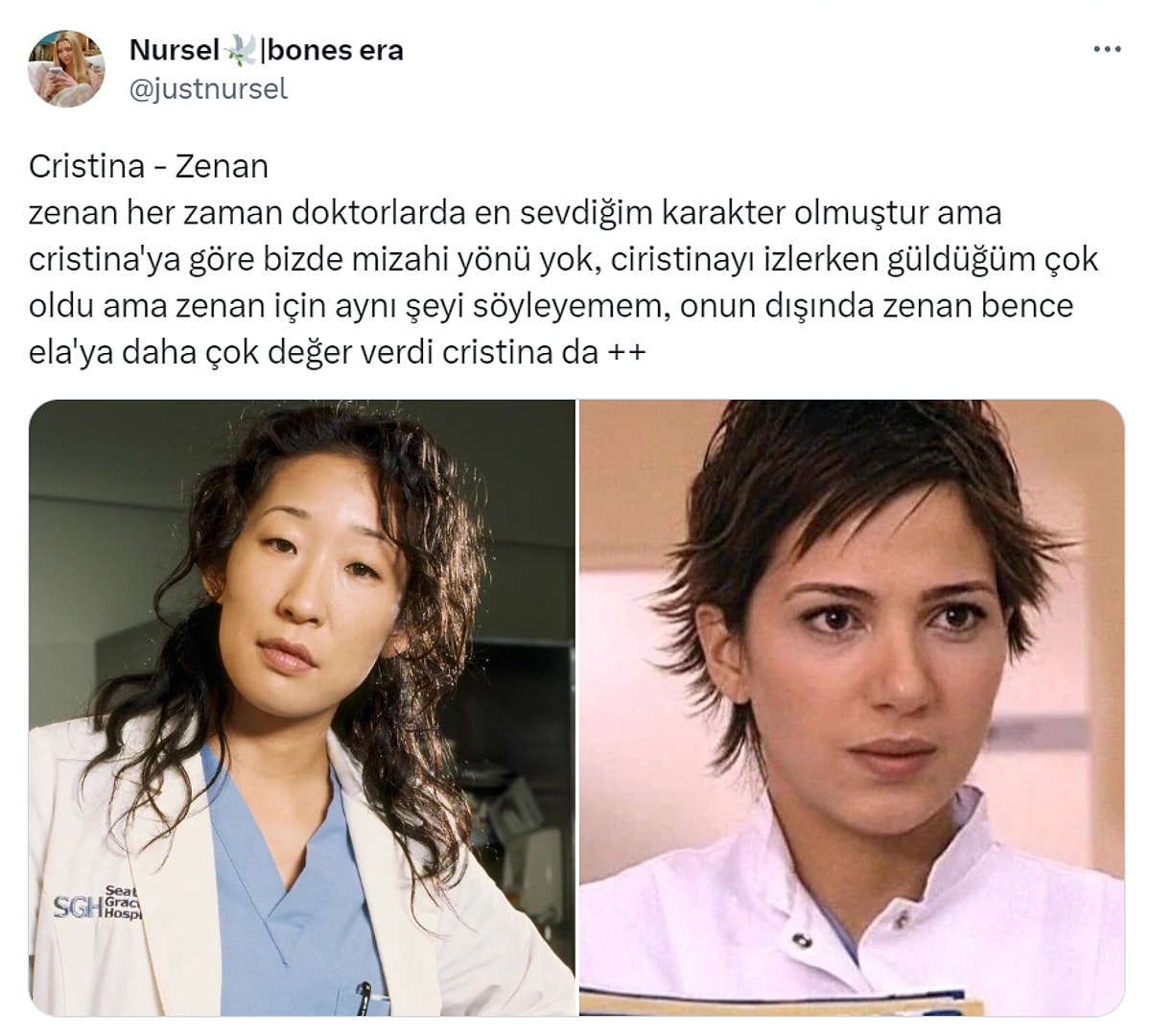 Grey's Anatomy'den Uyarlanan Doktorlar'ı Orijinal Karakterlerle Kıyaslayan Kullanıcının Enfes ...