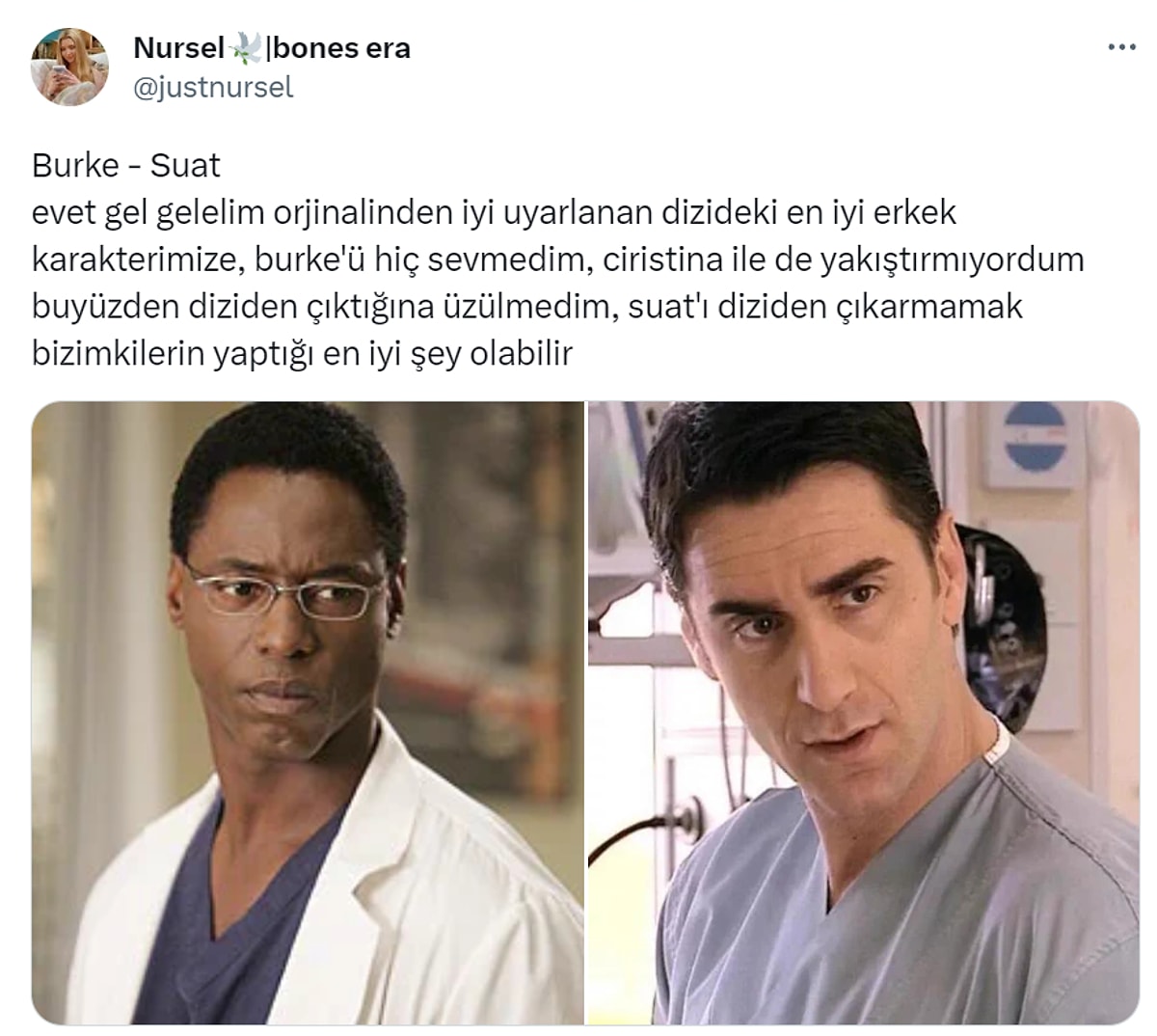 Grey's Anatomy'den Uyarlanan Doktorlar'ı Orijinal Karakterlerle Kıyaslayan Kullanıcının Enfes ...
