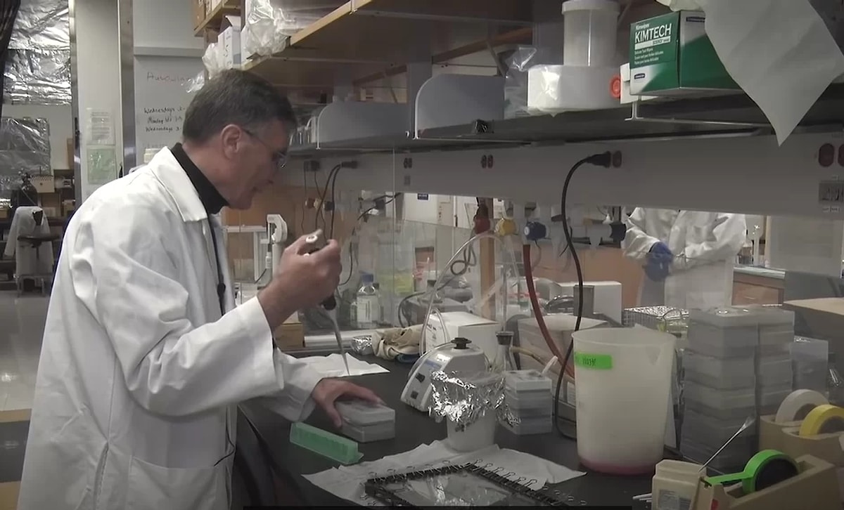 Aziz Sancar: The Renowned Turkish Scientist Pioneering the Pathways of ...