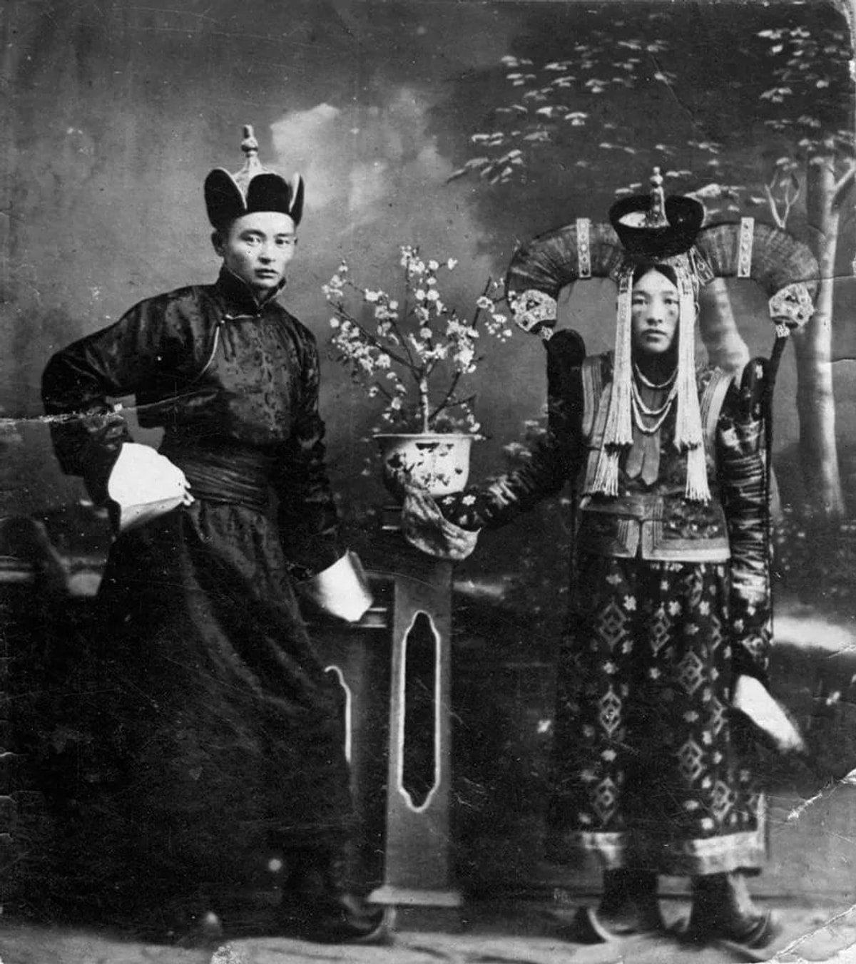 Star Wars'un İlham Kaynağı Olan Kraliçe Genepil - Onedio