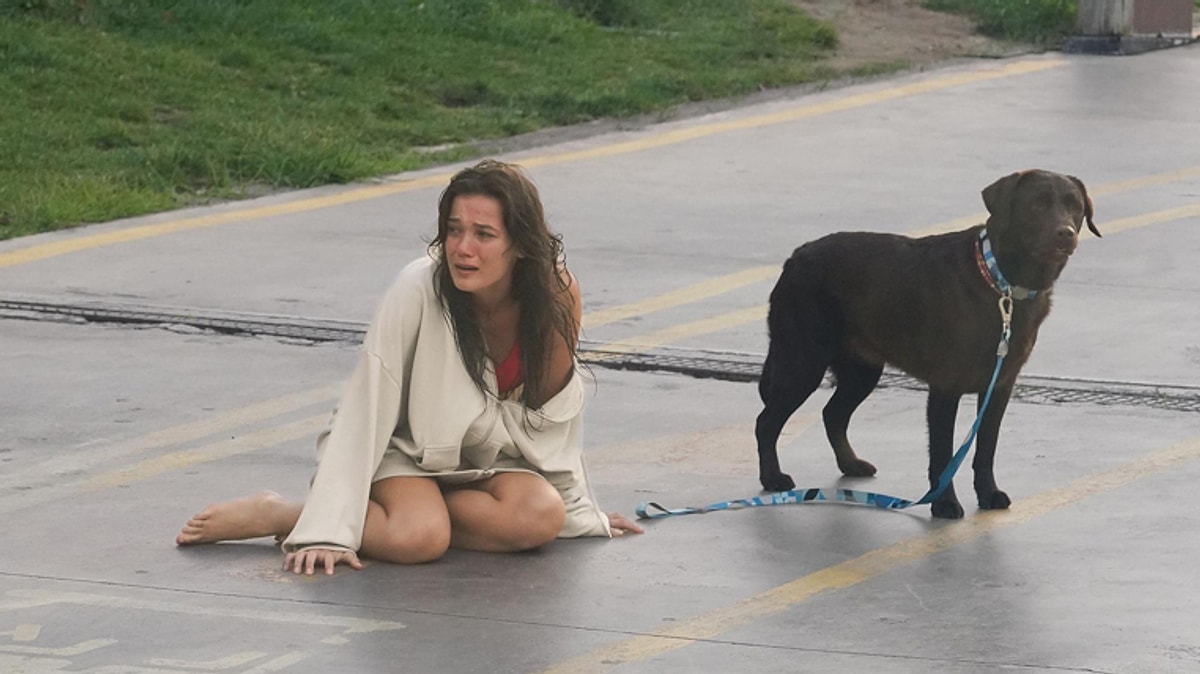 "Sen Ne Yaptın Sema Ergenekon?" Yargı'nın Yayınlanan Son Fragmanı X'te ...