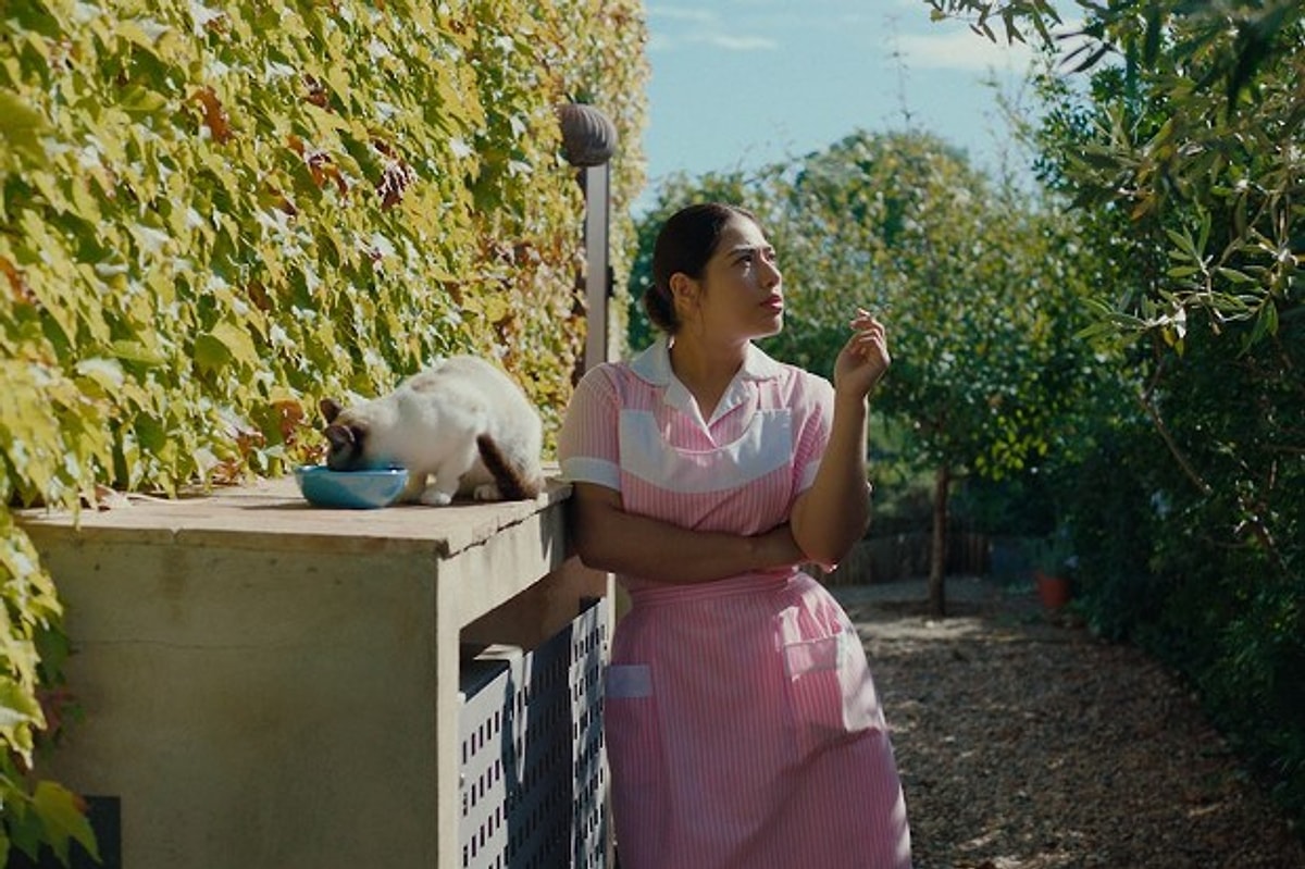 2023'ün En İyi İspanyol Filmleri - Onedio