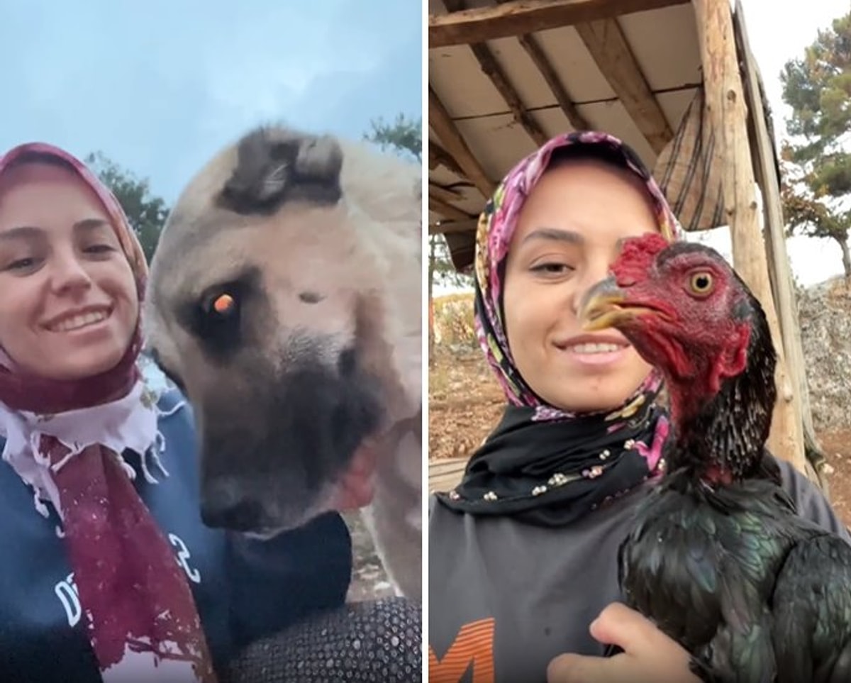 Daha İyi Bir Doğum Günü Kutlaması Yok: Gezen Oğlak, Kardeşinin Doğum ...