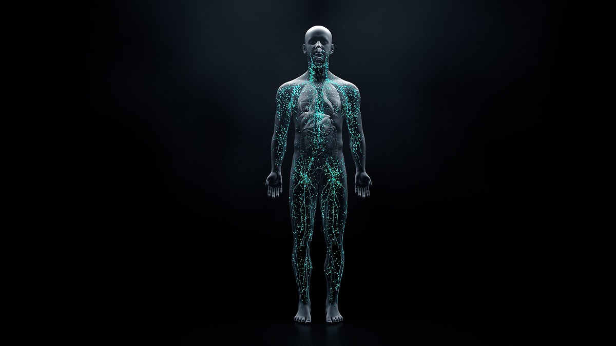 How Many Cells Do We Have in Our Bodies? Women vs Men - Onedio