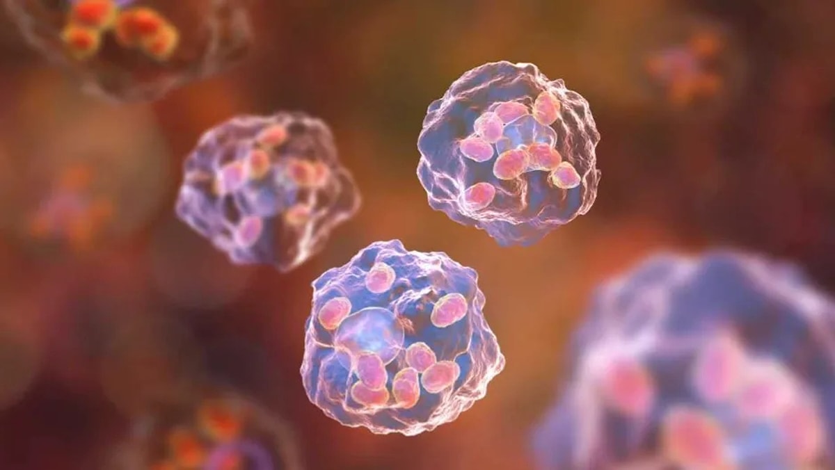 How Many Cells Do We Have in Our Bodies? Women vs Men - Onedio