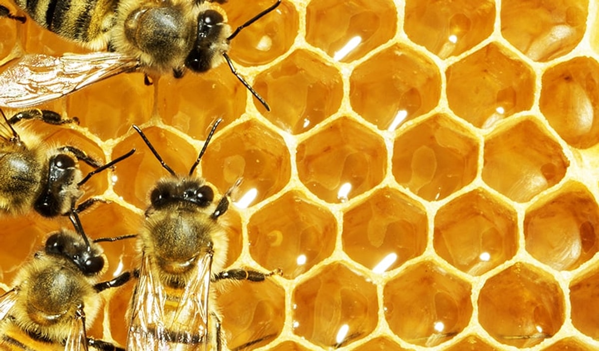 The Mystical Six: The Symbolism, Numerology, and Cultural Significance ...