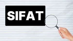 İlkokul Seviyesindeki Dil Bilgisi Testinden Kaç Doğru Yapabileceksin ...