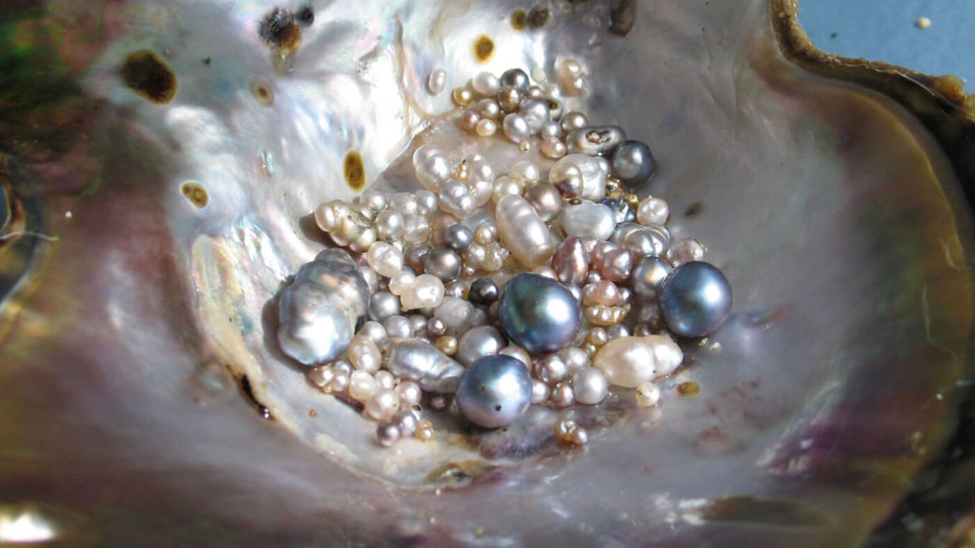 The Hidden History of Pearls: The Timeless Elegance of Nature's Noble ...