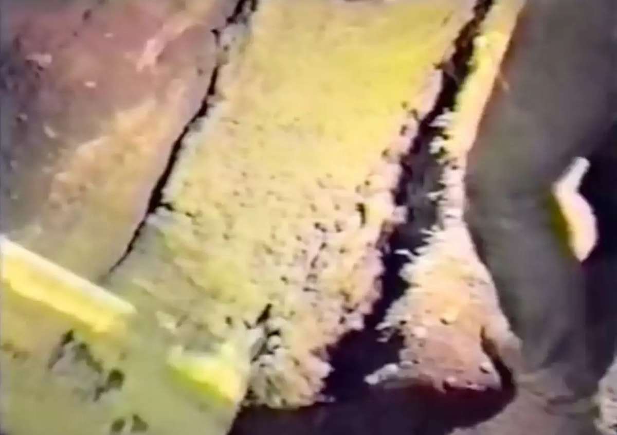 Joe Burrus Kimdir? Diri Diri Gömülen Sihirbaz! - Onedio