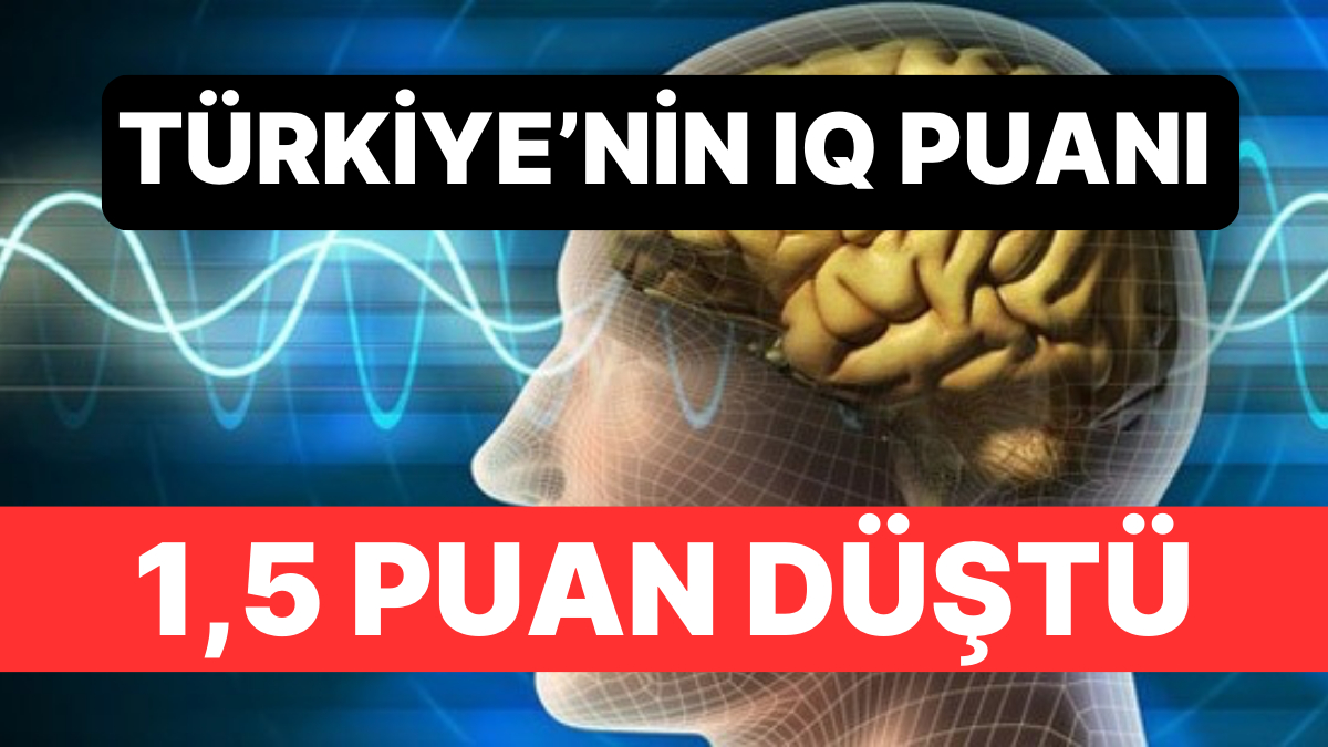 Türkiye IQ Sıralamasında Geriye Düştü: 115 Ülke Arasında 73'üncü Sırada ...