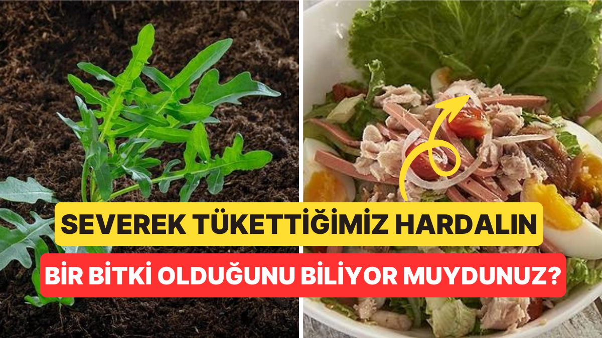 Yeşillikler Nasıl Pişirilir? - Onedio