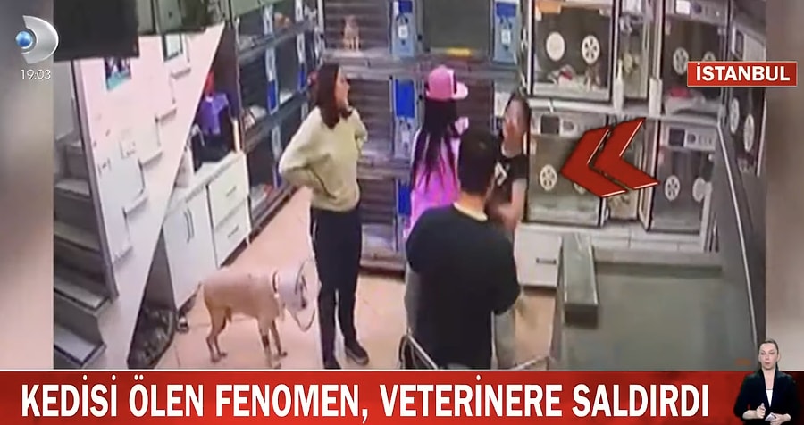 Kedisinin Yanlış Tedavi Yüzünden Öldüğünü Öne Süren Sosyal Medya ...